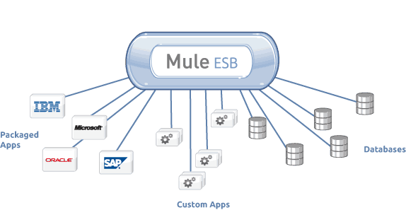 Welcome To Mule Enterprise Mulesoft Blog