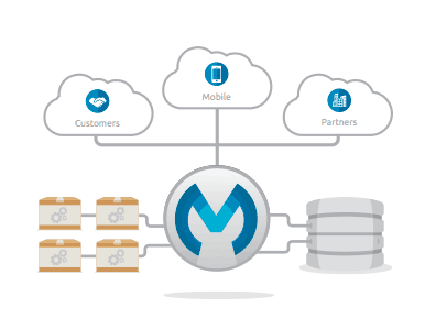 Integrating Mule ESB with .NET Based Rules Engines | MuleSoft Blog