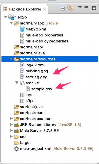 HowTo – File based integrations and transfer | MuleSoft Blog