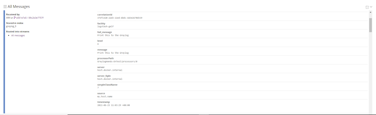 How to Successfully Connect the Graylog Platform With MuleSoft