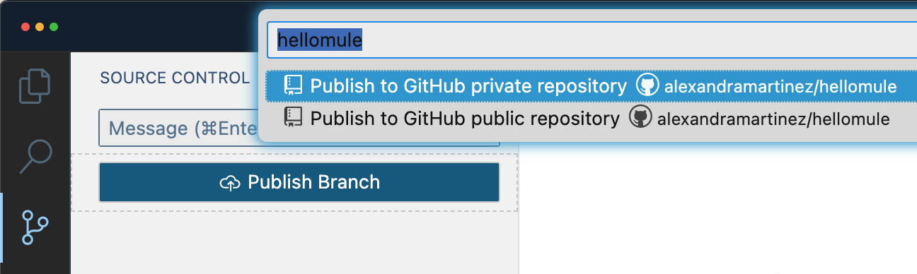 Work With Version Control Systems in Anypoint Code Builder | MuleSoft Blog