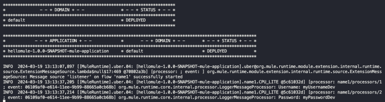 Secure and Encrypt Properties in Anypoint Code Builder | MuleSoft Blog