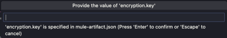 Secure and Encrypt Properties in Anypoint Code Builder | MuleSoft Blog