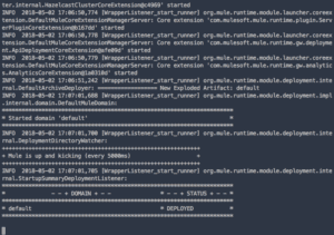 Running Mule 4 in Docker on Raspberry Pi | MuleSoft Blog