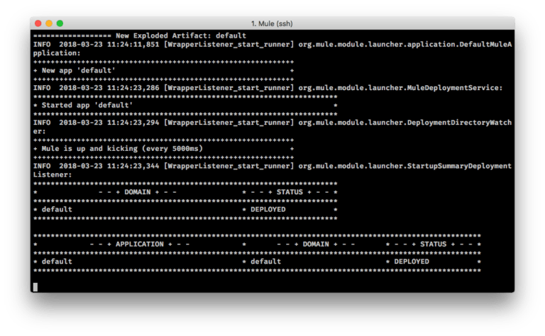 Running Mule 4 on a Raspberry Pi | MuleSoft Blog