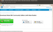 Mule School: Hello World | MuleSoft Blog