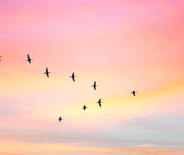 Sap S 4hana Migration With Mulesoft Professional Services Mulesoft Blog